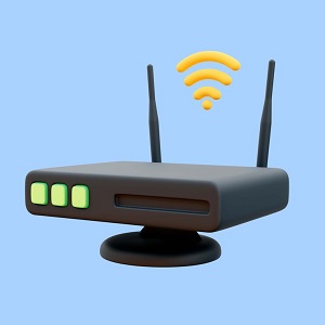 Modem Isometric Router – INDIA DRIED FLOERS
